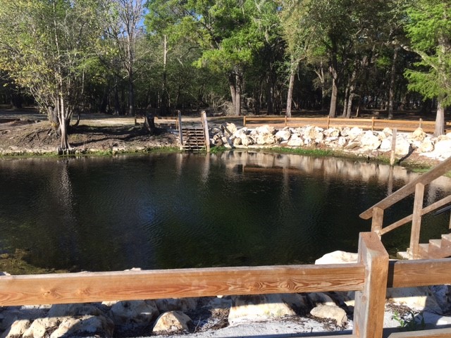 Otter Springs, Gilchrist County, March 2017 – A Florida Spring Odyssey