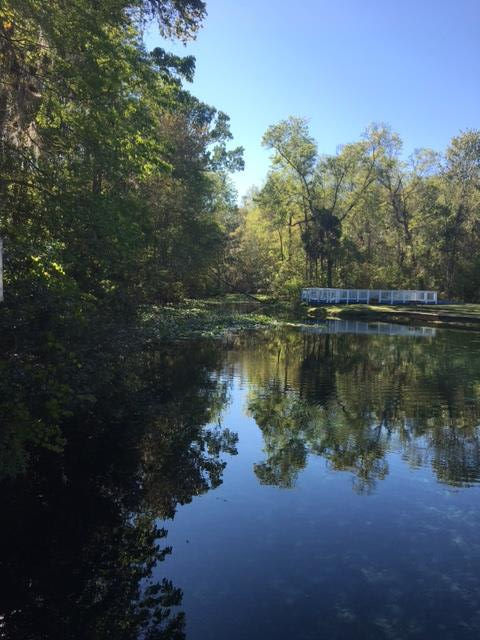 Levy Blue Spring, Levy County, March 2017 – A Florida Spring Odyssey