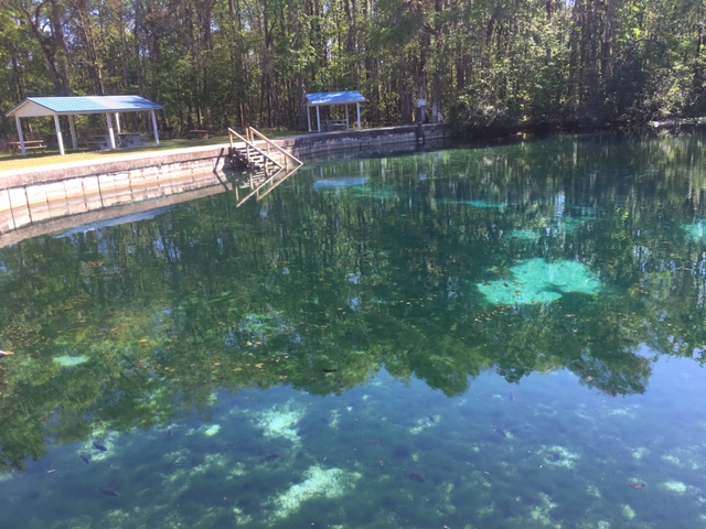 Levy Blue Spring, Levy County, March 2017 – A Florida Spring Odyssey