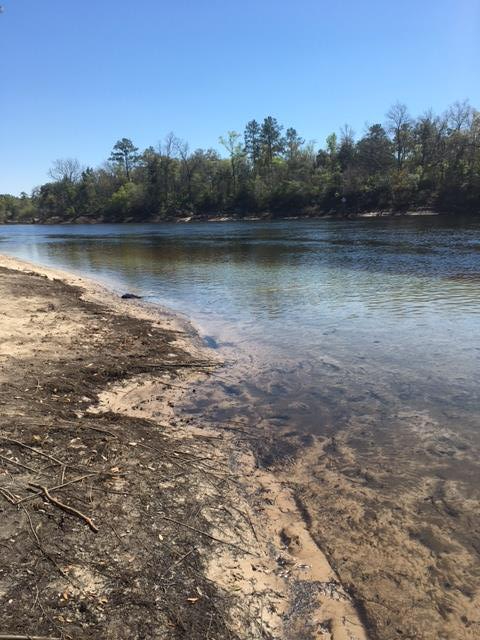 Little River Spring, Suwannee County, March 2017 – A Florida Spring Odyssey