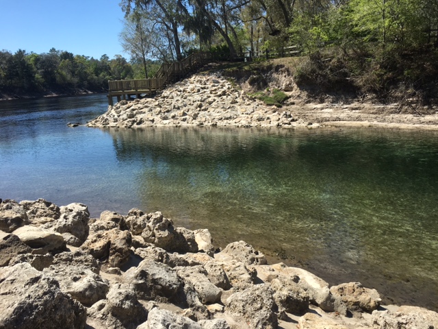 Little River Spring, Suwannee County, March 2017 – A Florida Spring Odyssey