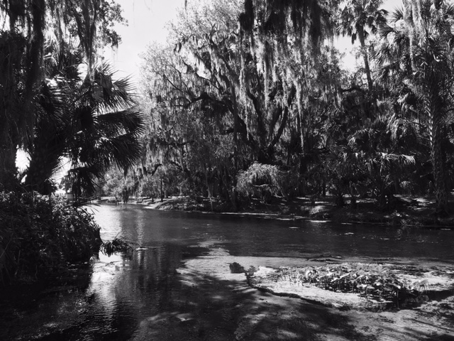 2017 – A Florida Spring Odyssey