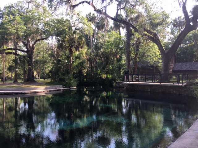 Juniper Spring, Marion County, May 2017 – A Florida Spring Odyssey