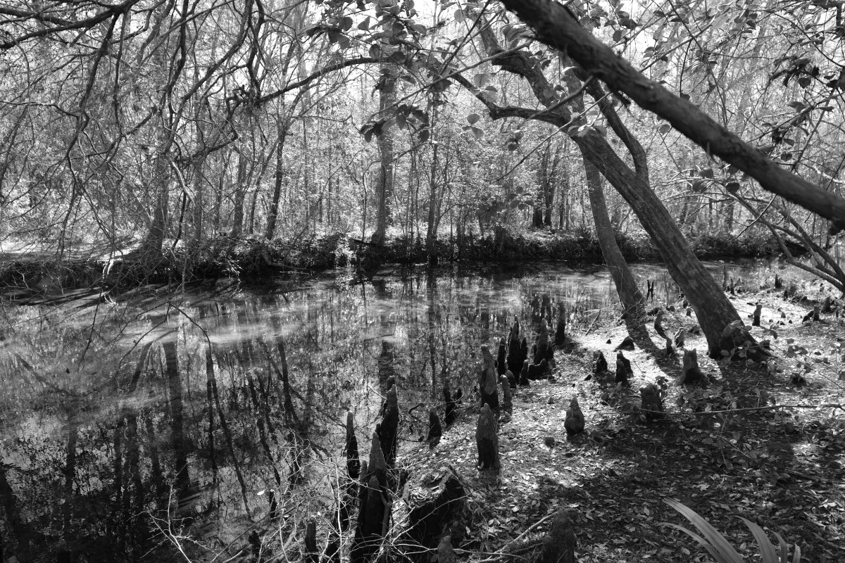 Ponce de Leon Spring – A Florida Spring Odyssey