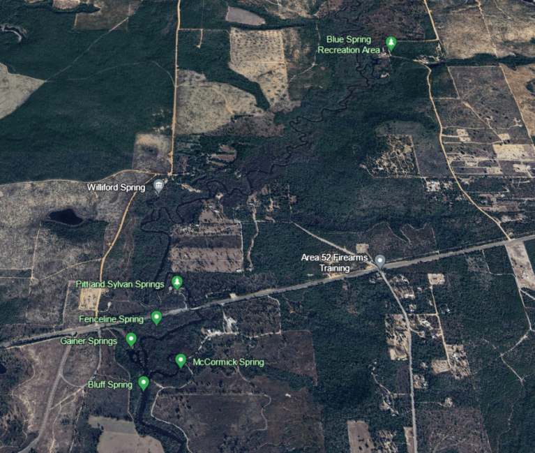 Econfina Creek: Gainer and Bluff Springs – A Florida Spring Odyssey