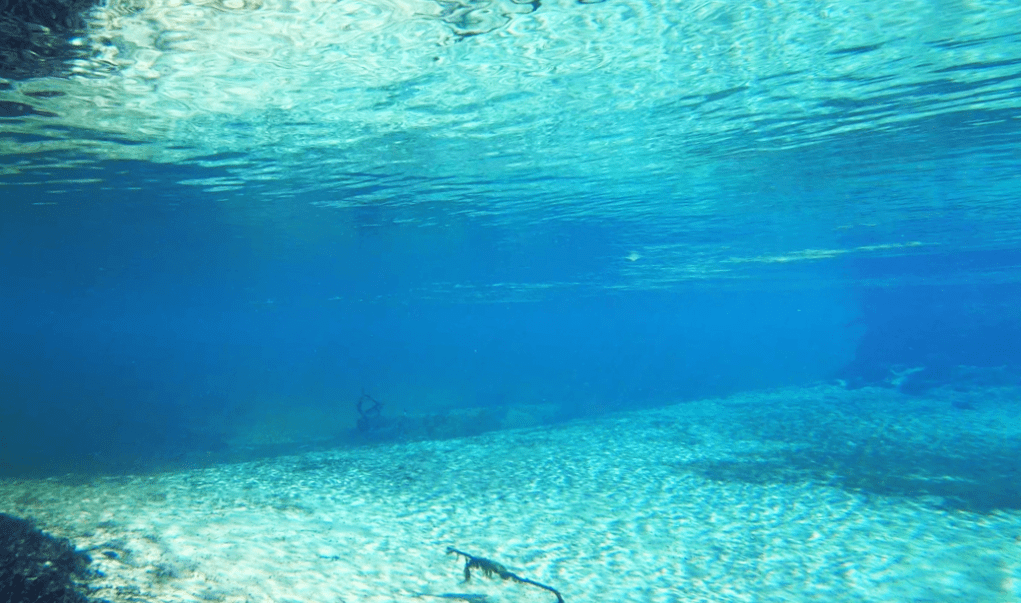 Econfina Creek: Gainer and Bluff Springs – A Florida Spring Odyssey