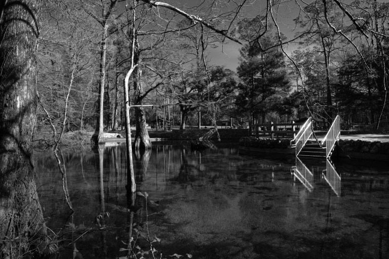 Ponce de Leon Spring – A Florida Spring Odyssey