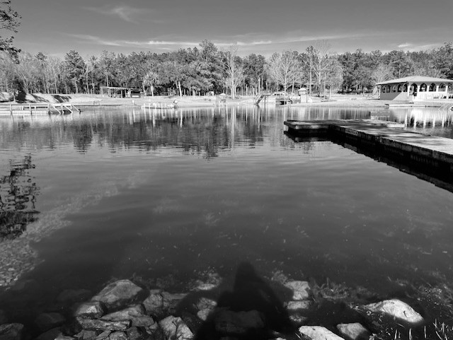 Vortex Spring – A Florida Spring Odyssey