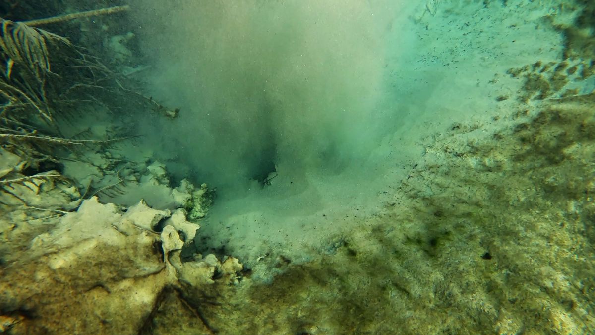 Econfina Creek: Gainer and Bluff Springs – A Florida Spring Odyssey
