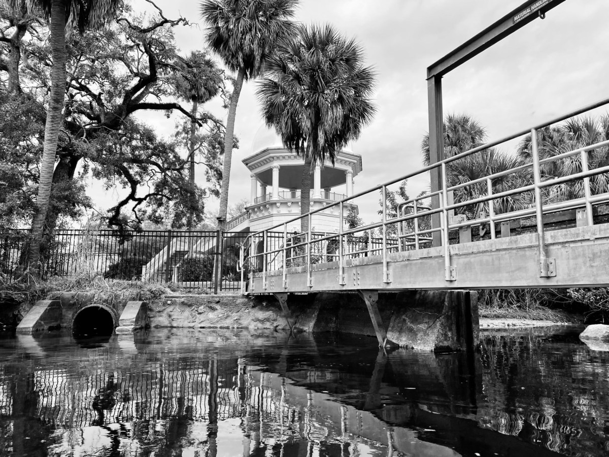 Hillsborough River: Sulphur, Purity, and Ulele Springs – A Florida ...