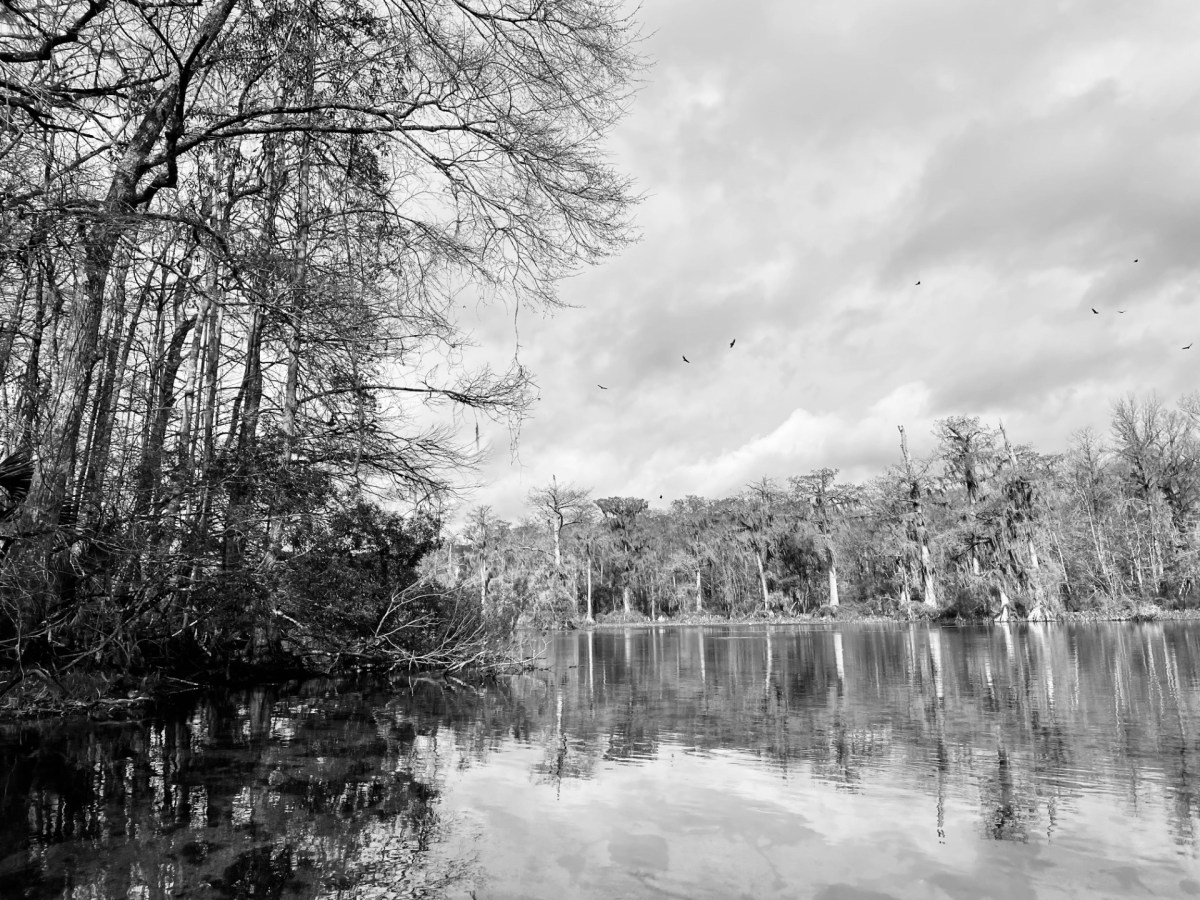 Wakulla and Sally Ward Springs – A Florida Spring Odyssey