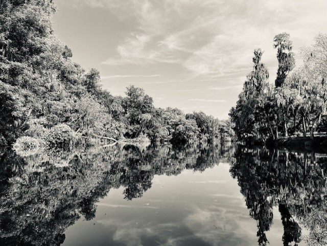 Alafia River: Lithia Major, Lithia Minor, and Buckhorn Springs – A ...