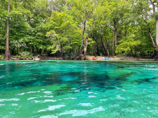 Holmes Creek: Cypress, Beckton, and Brunson Landing Springs – A Florida ...
