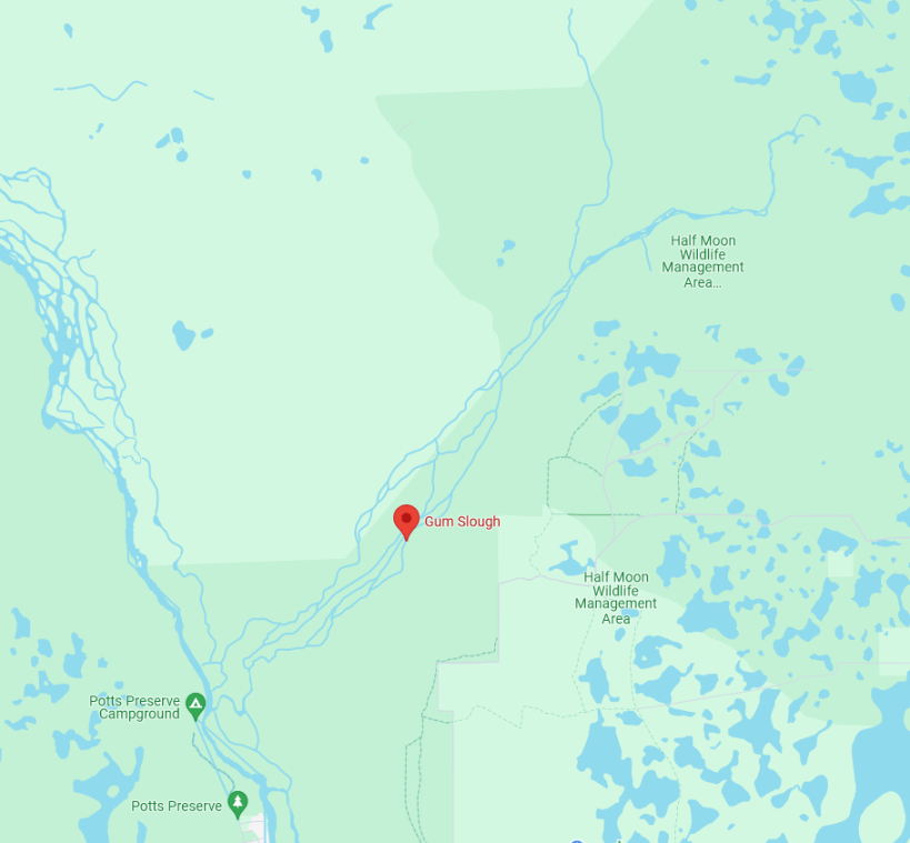 Gum Slough, the spring that flows into Withlacoochee River (south) – A ...