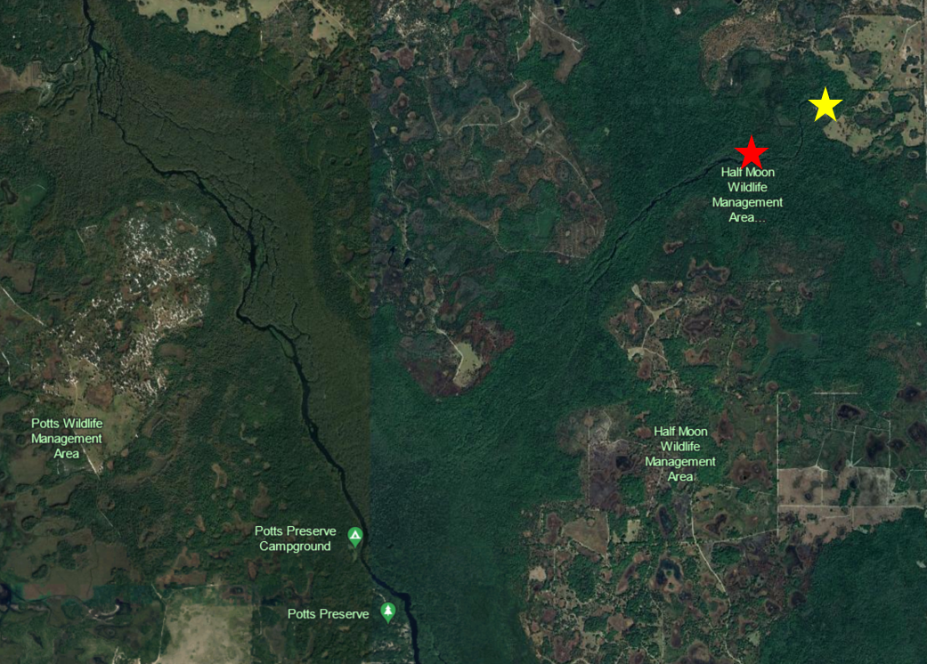 Gum Slough, the spring that flows into Withlacoochee River (south) – A ...