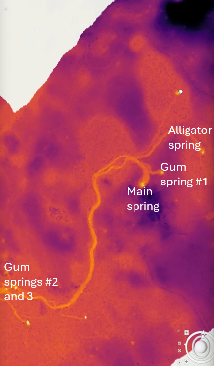 Gum Slough, the spring that flows into Withlacoochee River (south) – A ...
