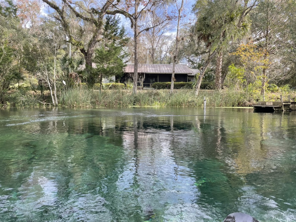 Gum Slough, the spring that flows into Withlacoochee River (south) – A ...